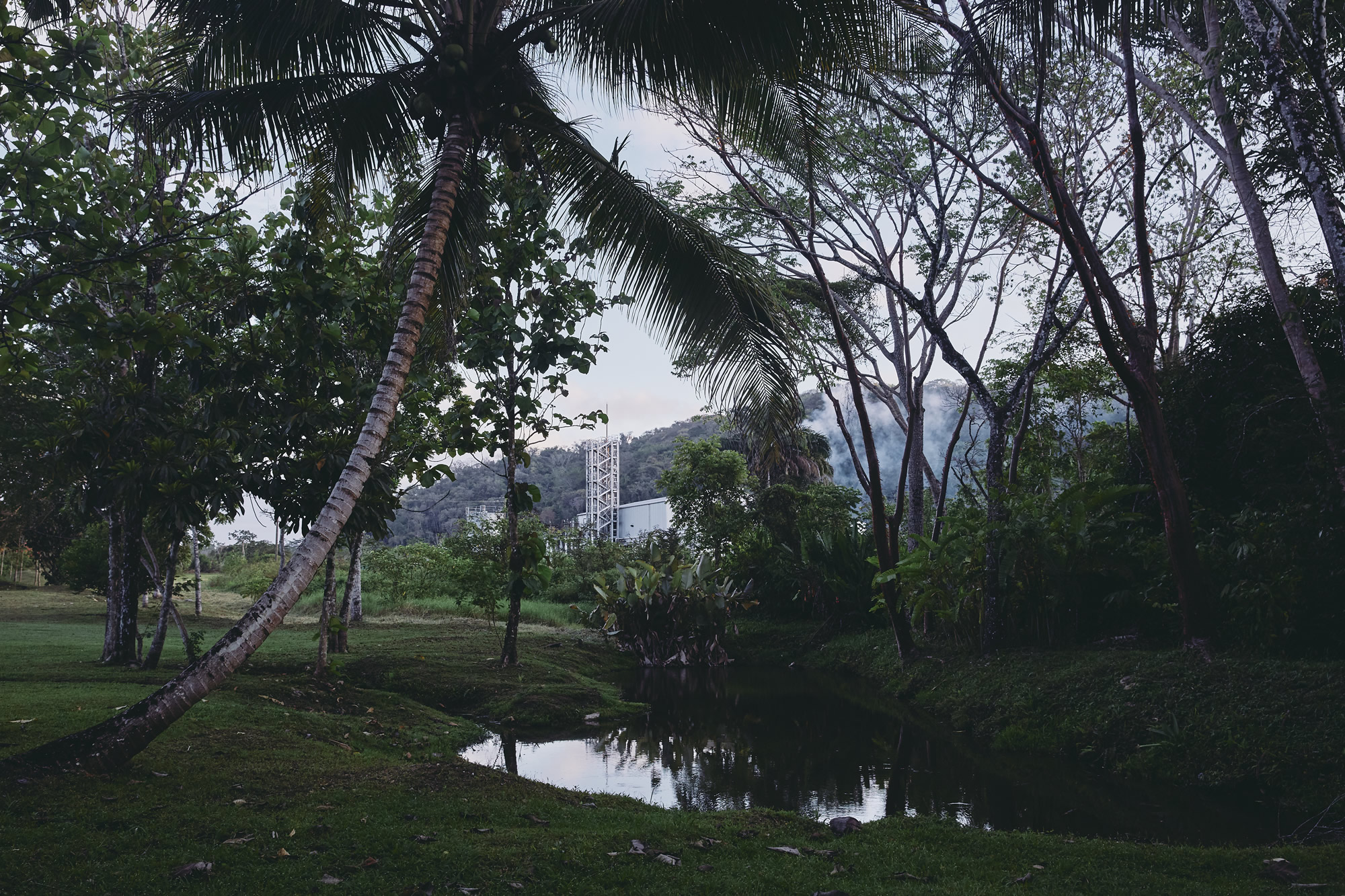 Copalli Is A Full Circle Ecosystem