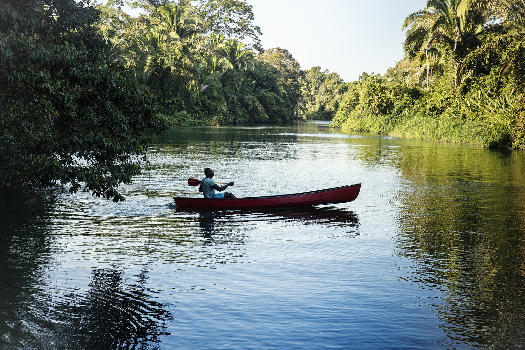 Copalli Is A Full Circle Ecosystem