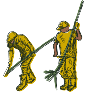 Our Crafting Process